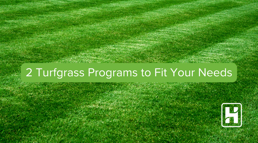 Two Turfgrass Programs to Fit Your Needs