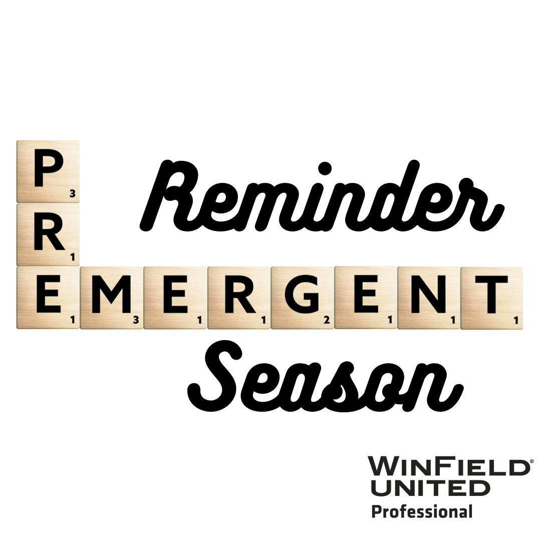 Spring Pre-Emergent Control