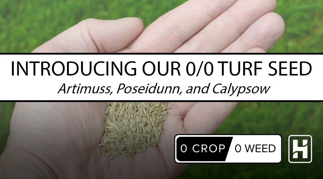 Introducing Our 0/0 Turf Seed Collection