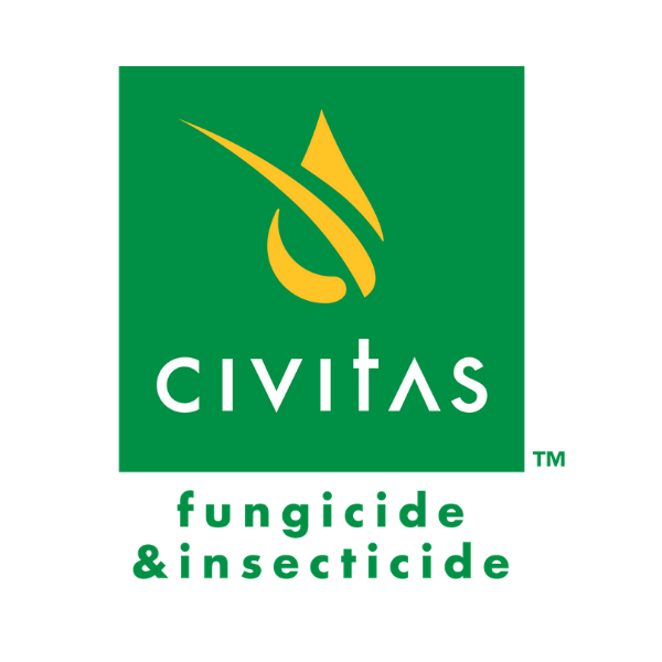 Civitas